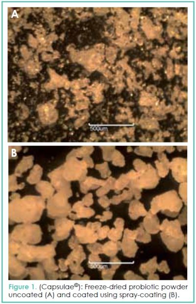 Microencapsulation to Enhance Bioactive Ingredients