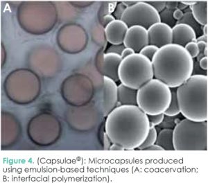 Microencapsulation to Enhance Bioactive Ingredients